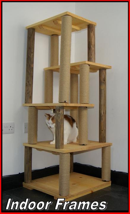 Cat Climbing